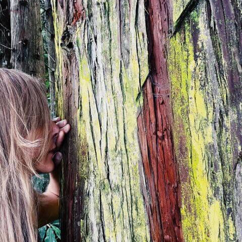 Nature Immersion ~ Regeneration – Ume